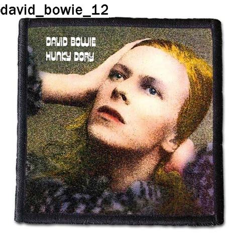 David Bowie 12 Small Printed Patch King Of Patches