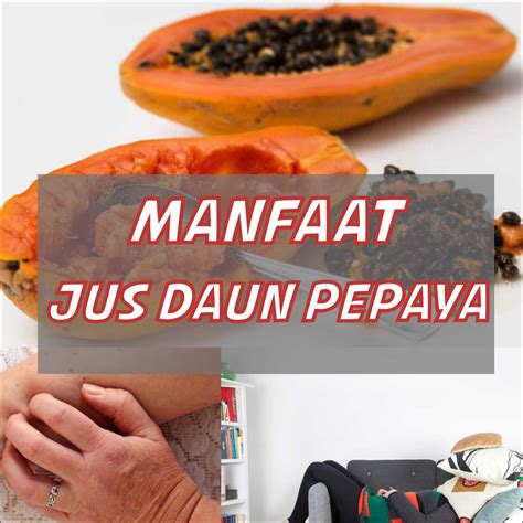 Inilah Ragam Manfaat Jus Daun Pepaya