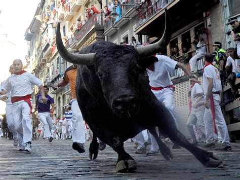 Running Of The Bulls Memes Imgflip