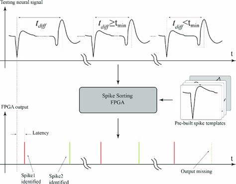 estimate of maximum spike sorting rate and sorting latency for the