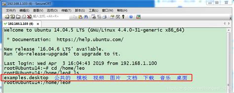 Securecrt 远程登录 Linux（开启 Ssh）t Securecrtssh Csdn博客