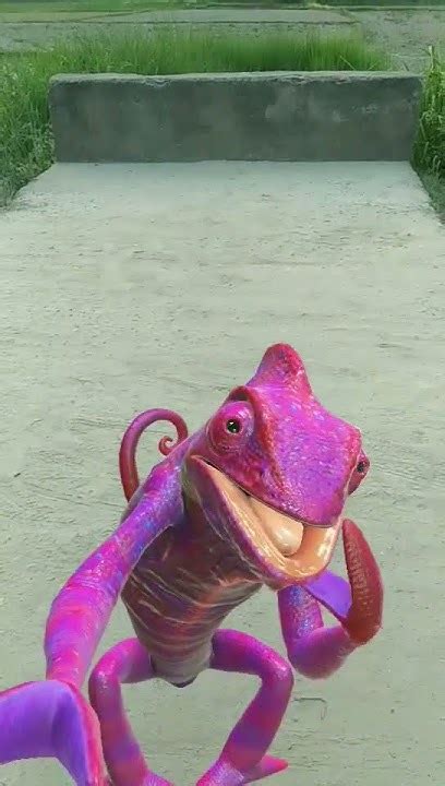 Girgit Dance 🩰🩰 Shortsviral Cute Celfi 😂🥺 Youtube