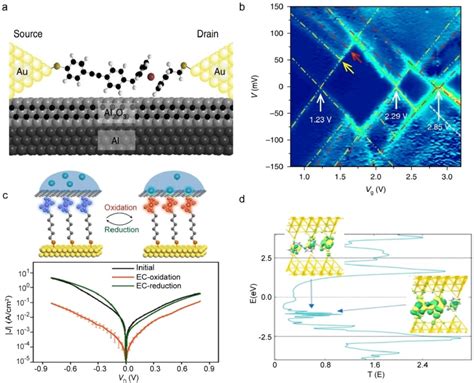 A Illustration Of The Single Molecule Transistor With Derivative Of