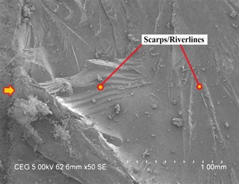Scanning Electron Microscope Sem Image Of The Fractured Surface Of Download Scientific