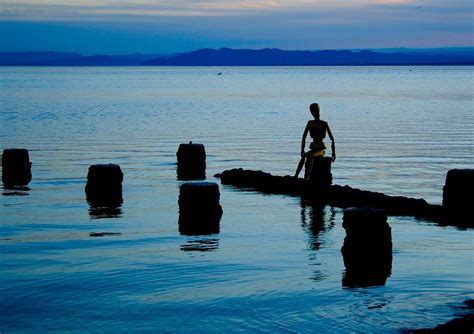 Composition Learning Digital Photography