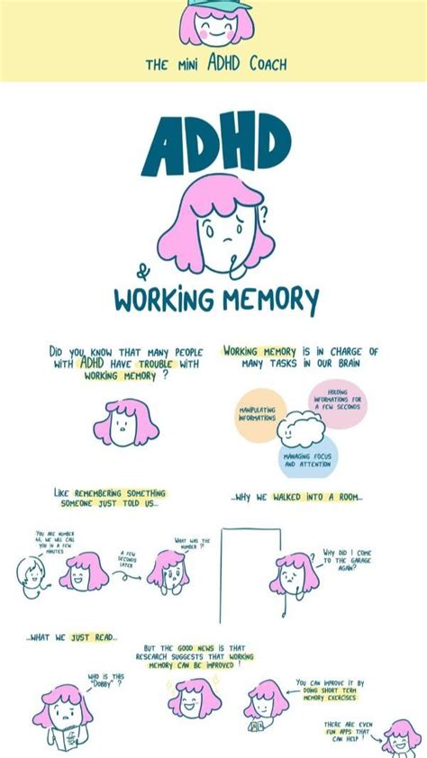 Adhd And Working Memory Artofit