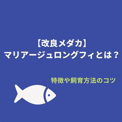 【改良メダカ】マリアージュロングフィンとは？特徴や飼育方法のコツ さかなと環境ブログ