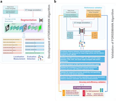 development and validation of a deep learning based fully automated