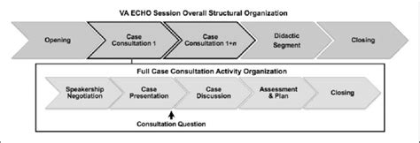 Va Echo Session Overall Structural And Case Consultation Activity