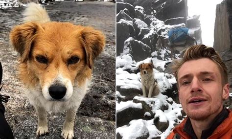 I Was Saved By A Real Life Lassie Brit Hiker Lost 15000ft Up In