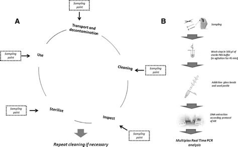 Schematic Representation Of Reprocessing Procedures In Dental Care