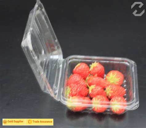 Disposable Fruit Food Container Packing Tray Buy Dry Fruit Packing