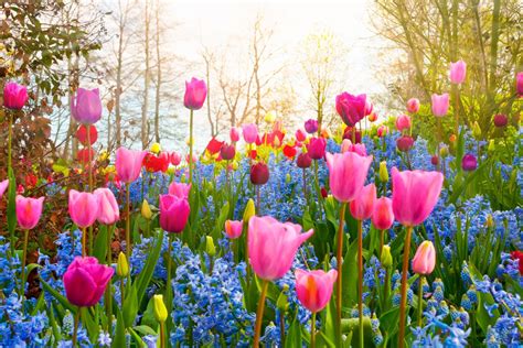 Milloin Kevät Alkaa Kysymyksiäcom