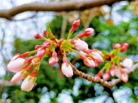 公園 Rintaro House