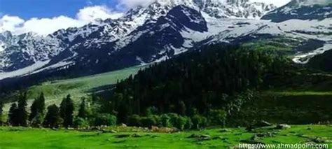 Machine Learning Algorithm Best Detail And Types 202