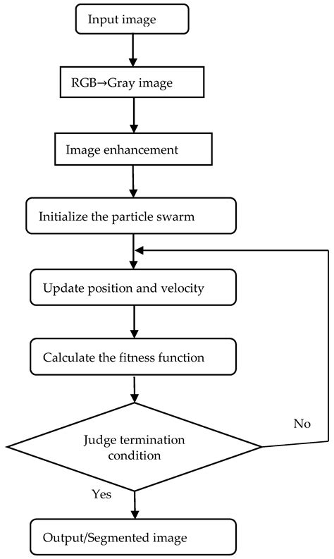 sensors free full text image segmentation based on dynamic particle
