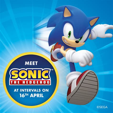 Twinlakes Brace Yourselves Sonic The Hedgehog™ Is Hitting The Park