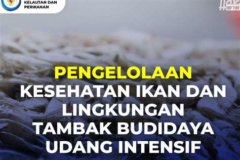 Bank Soal PPPK 2022 Ini Contoh Soal P3K Tenaga Teknis Untuk Jabatan