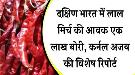 दक्षिण भारत में लाल मिर्च की आवक एक लाख बोरी कर्नल अजय की विशेष