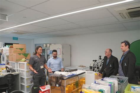 Dr Vimala Sreenivasan Posted On Linkedin