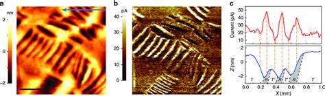 Spatially Resolved Photocurrent Distribution A Surface Topography And