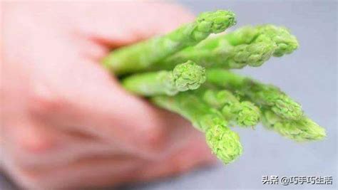 蘆筍吃法蘆筍怎麼挑全都告訴你 每日頭條