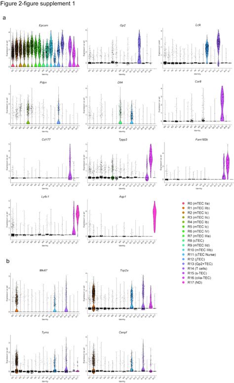 Figure Supplement 1 A Violin Plots For Expression Level Of Typical Download Scientific