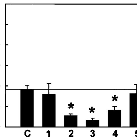 Effects Of Inhibitors Of Mlck And Pkc On The Basal Level Of Lc 20