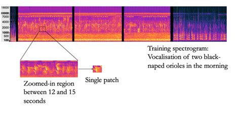 Semi Supervised Learning With Local Prototype Networks Dfki
