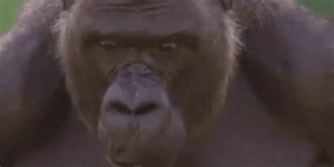 When I Try To Understand The Code I Wrote The Day Before The Coding