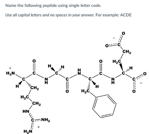 Solved Please Explain Preferably Circle The Amino Acids