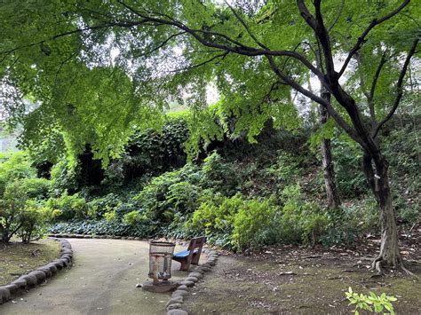 板橋区立中台しいのき公園｜子連れママのための子育て情報サイト Mamaskyママスキー
