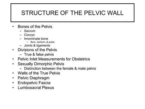 Pelvis Anatomy Lecture 1 Structure Of The Pelvic Wall 2016 Pdf