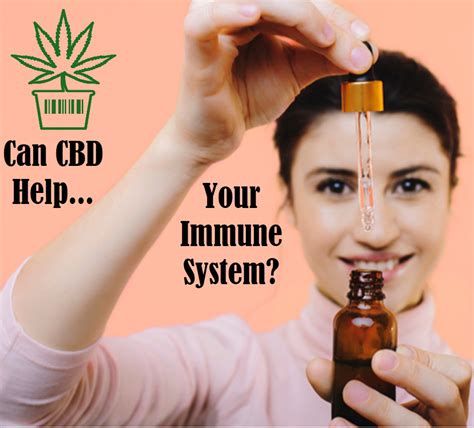 Can Cbd Boost Your Immune System