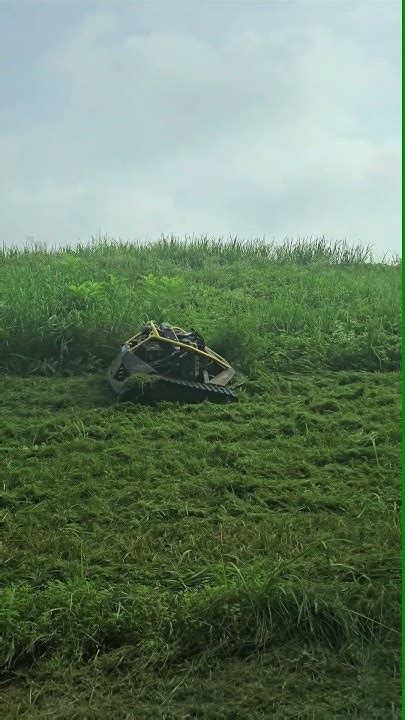 가성비가 뛰어난 무선 제초기 팬더27 제초작업 풀베기 예초기 원격 Youtube