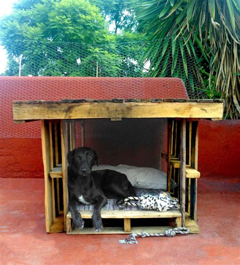 Como Hacer Casa Para Perros Grandes