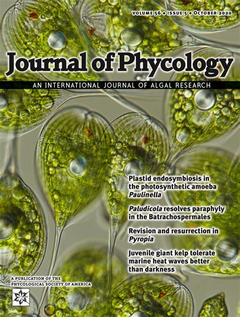 Laminaria Microscope