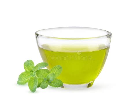The Hot Mint Tea With Mint Leaves In Cup Stock Image Image Of Garden