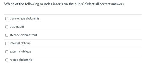 Solved Which Of The Following Muscles Inserts On The Pubis Select