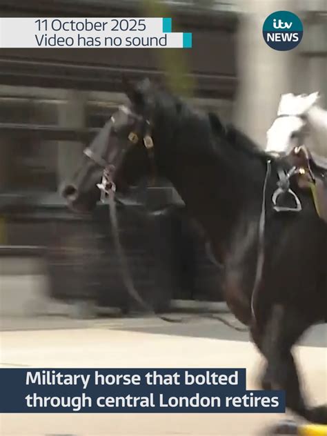A Military Horse Which Bolted Through Central London After Being Start