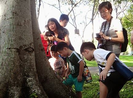 Wild Shores Of Singapore Naked At Pasir Ris On World Ocean Day