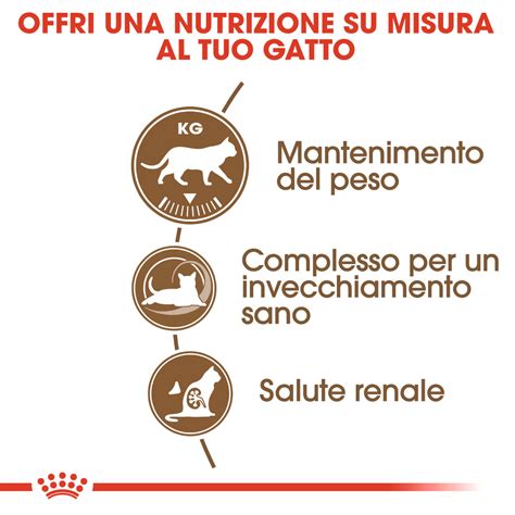 Royal Canin Ageing Sterilised 12+ Crocchette per gatto Acquista ora!