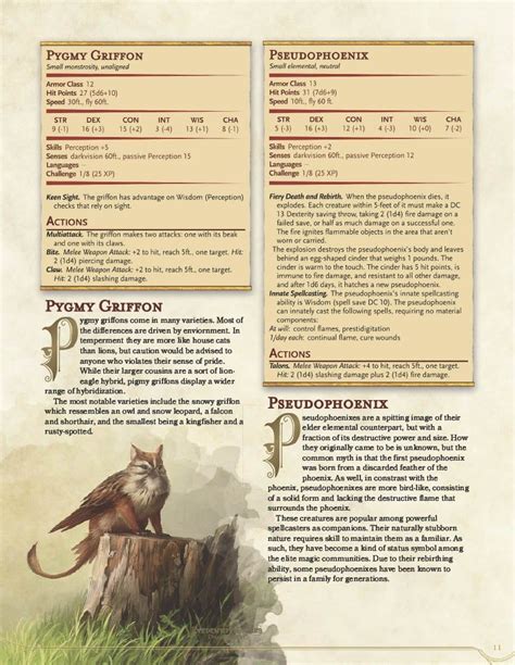 26 Dnd Companions Ideas Dnd Dnd Monsters Dungeons And Dragons Homebrew
