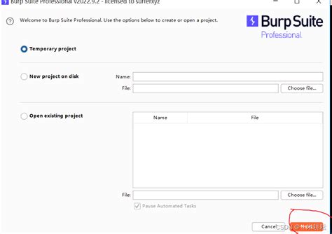 2022burpsuite最新使用方法 burpsuite2022 CSDN博客