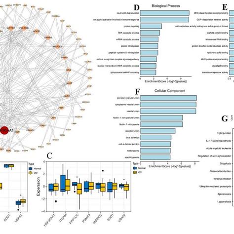 Identification And Functional Enrichment Analysis Of Hub Download Scientific Diagram