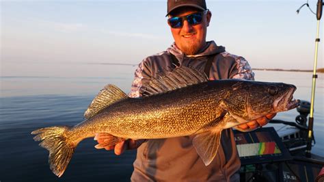 Best Spring Walleye Baits That Catch More Fish Youtube