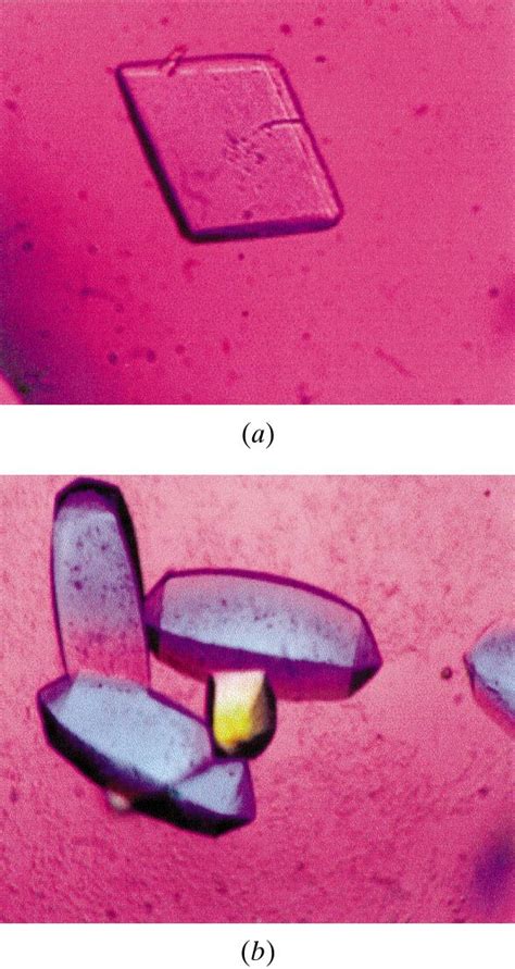 Crystals Of The 1±182 Regulatory Subunit Of Human Protein Kinase Ck2