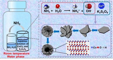 Schematically Illustrates An Nh Diffusion Strategy That Could