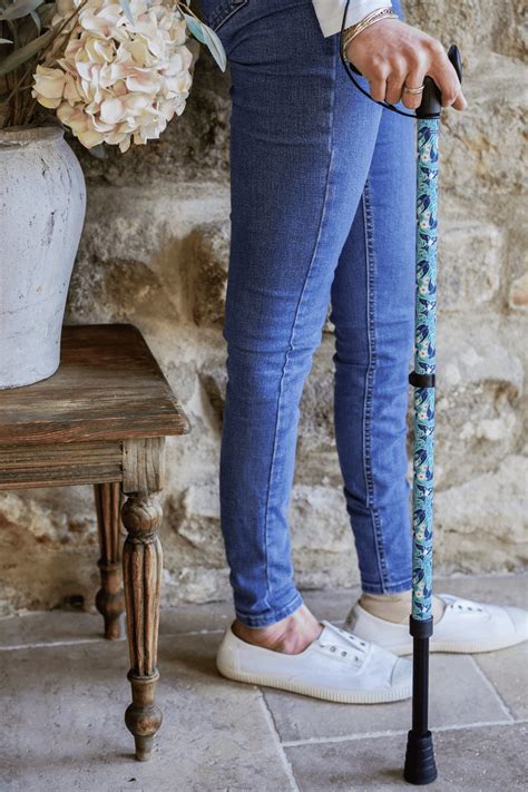 Wings Of Spring Walking Stick Spring Mobility Aids Cool Crutches