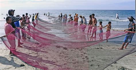 Five Ways Ocean Acidification Impacts The Poor Borgen